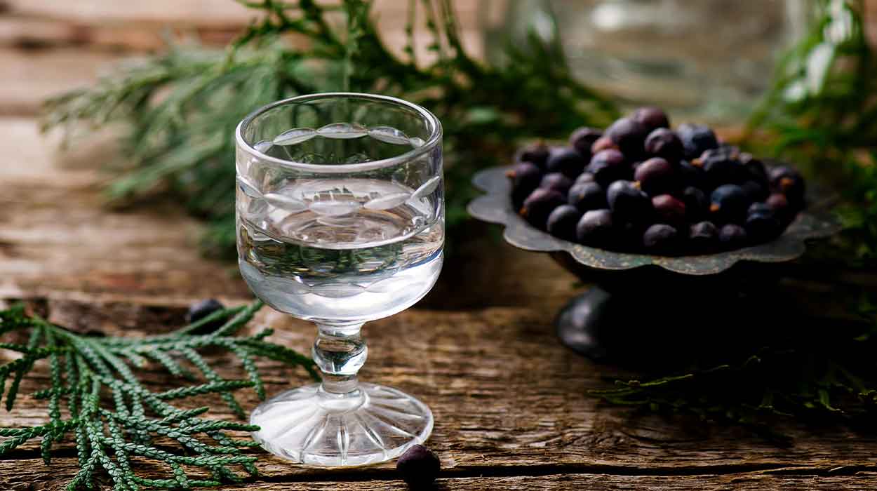 The Top Irish Gin Brands to Try Right Now